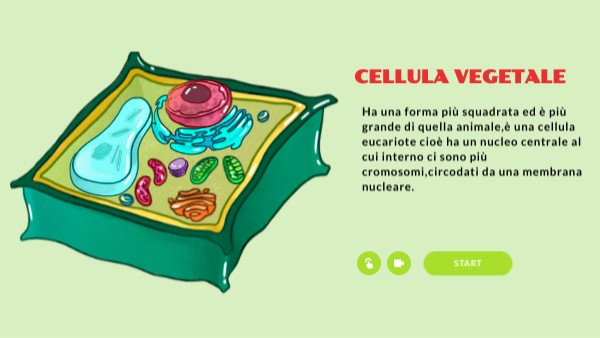 Cellula vegetale | Genially