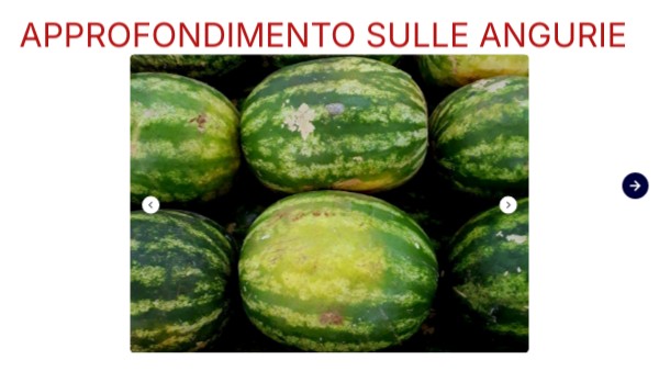 approfondimento sulle angurie | Genially