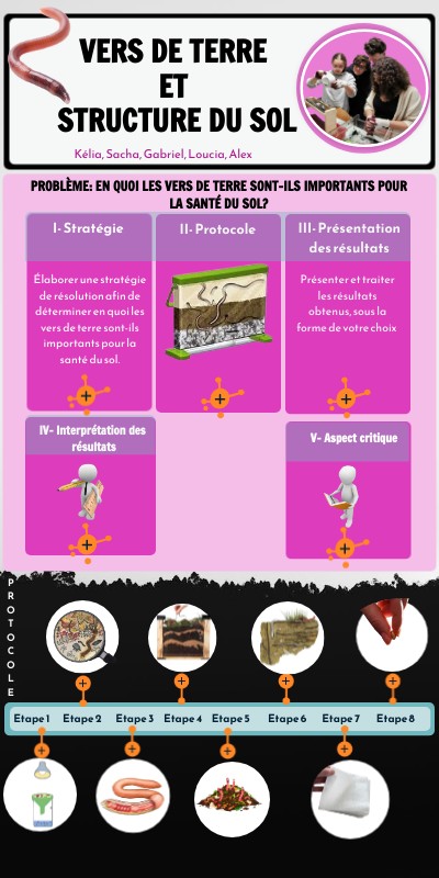 Vers de terre et structure du sol | Genially