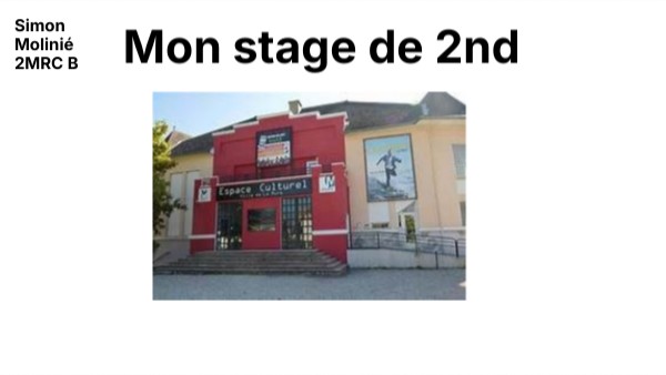 Mon stage de 2nd | Genially