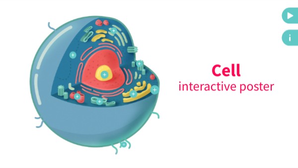 Cellula eucariote animale 🧬 | Genially