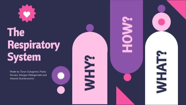 The Respiratory System | Genially