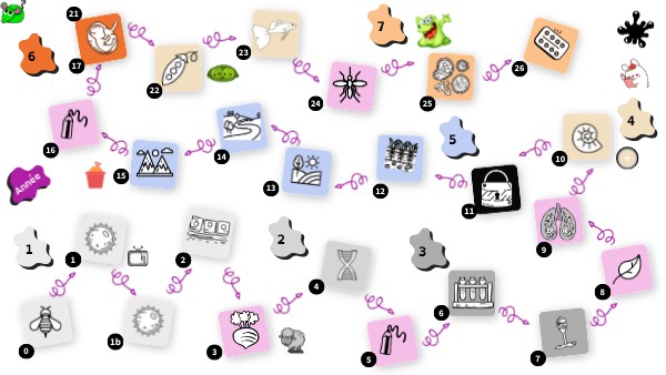 Seconde Elea | Genially