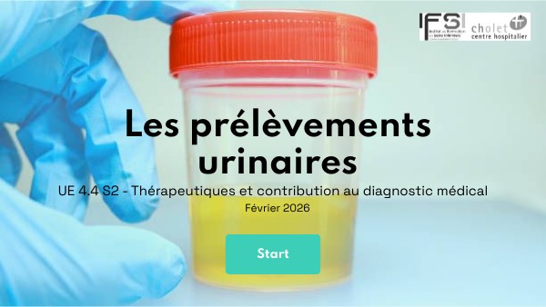 IFSI CH CHOLET - UE 4.4 S2 - Les prélèvements urinaires | Genially