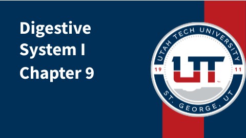 Digestive System I - Chapter 9 | Genially