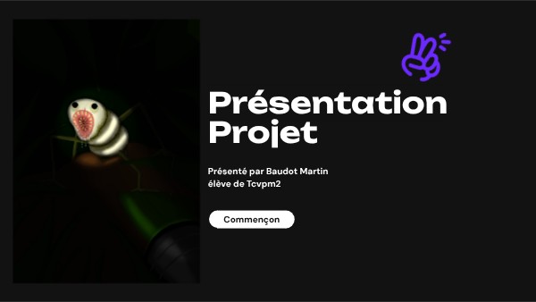 Presentation Pfmp | Genially