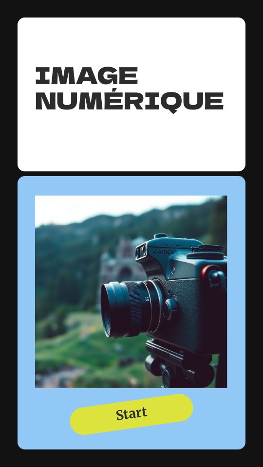 Image numérique | Genially