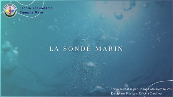 LA SONDE MARIN | Genially