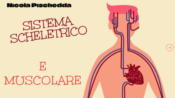 i traumi muscolari | Genially