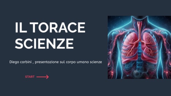 il torace scienze | Genially