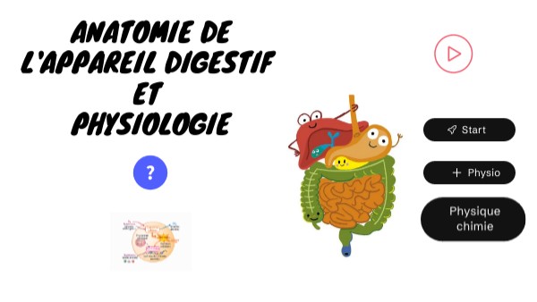 V2025 ANatomie de L'appareil digestif et Physiologie | Genially