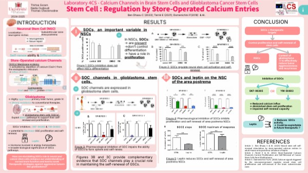 Stem Cell : Regulation by Store-Operated Calcium Entries | Genially