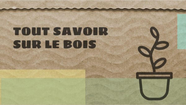 tout savoir sur le bois | Genially