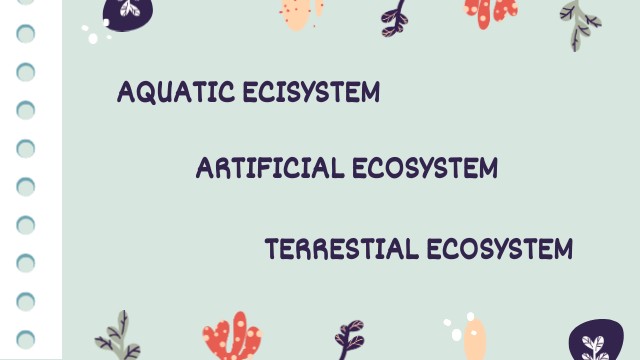 ECOSYSTEM | Genially