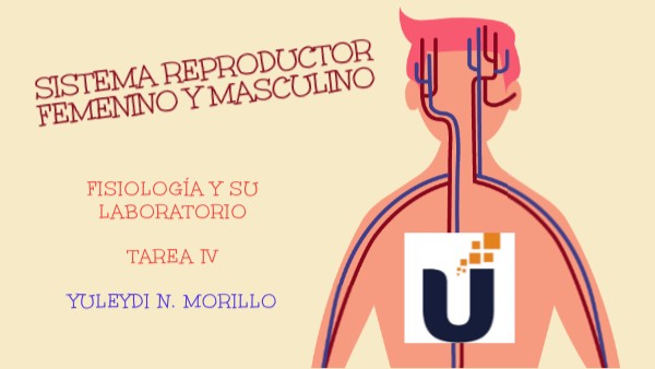 Sistema Reproductor Femenino y Masculino | Genially