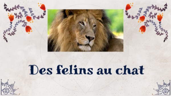 Des felins au chat | Genially