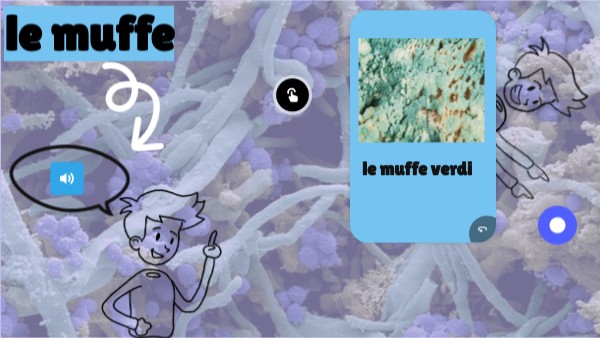 MUFFE | Genially