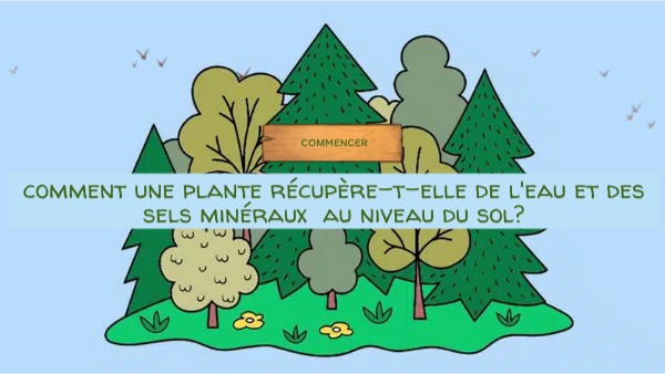 comment une plante récupère-t-elle de l'eau et des sels minéraux au niveau du sol? | Genially