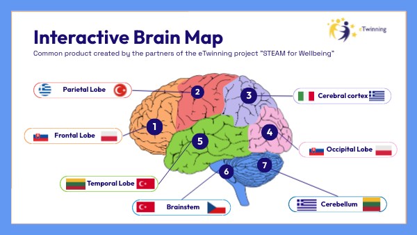 Interactive Brain Map - etwinning | Genially