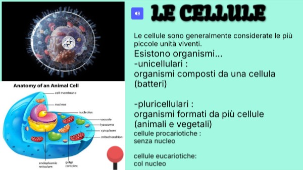 LE CELLULE | Genially
