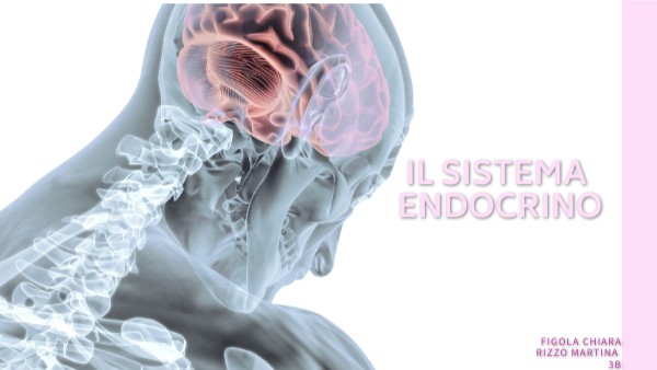 IL SISTEMA ENDOCRINO | Genially