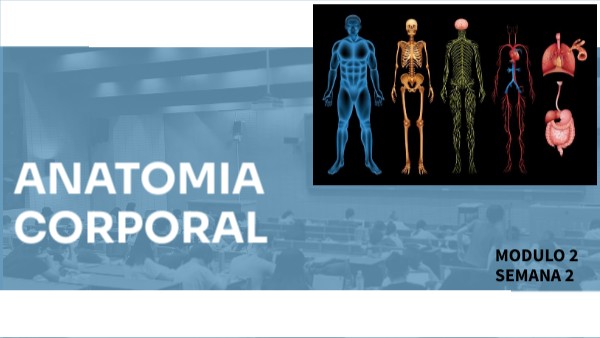 ANATOMIA CORPORAL | Genially