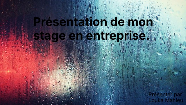 Présentation de mon stage en entreprise. | Genially