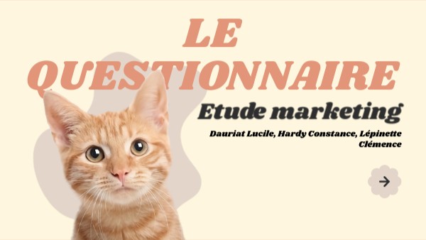 LE QUESTIONNAIRE | Genially