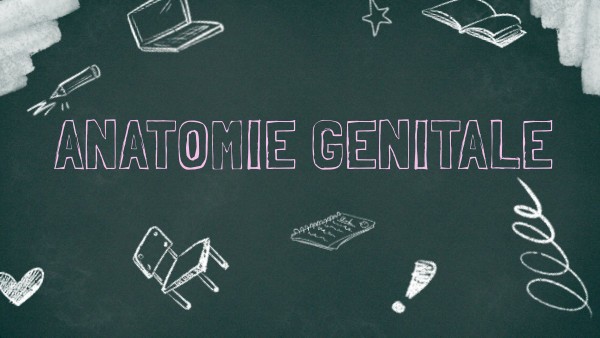ANATOMIE GENITALE Femelle | Genially