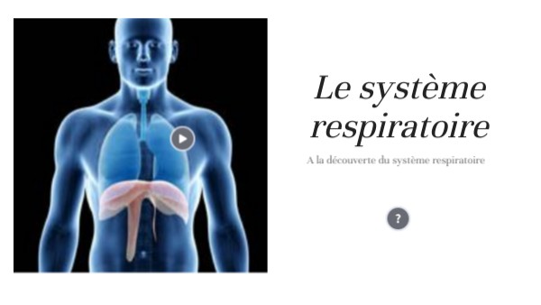 Le système respiratoire | Genially