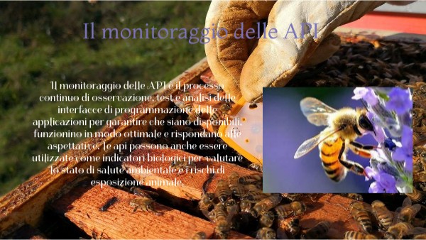 Il monitoraggio delle API | Genially