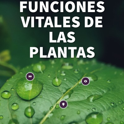 Funciones vitales de las plantas | Genially