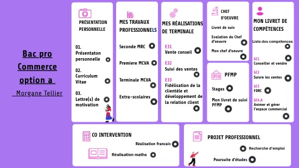 Bac pro Commerce option a | Genially