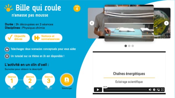 Bille qui roule n'amasse pas mousse | Genially