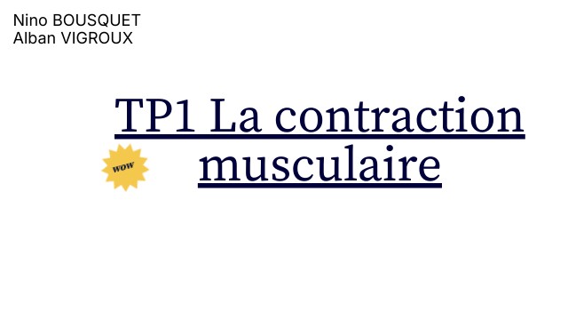 TP1 Alban Nino | Genially