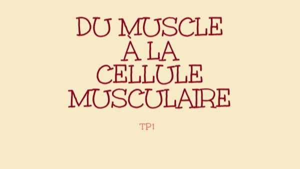 du muscle à la cellule musculaire | Genially