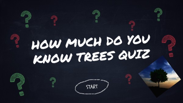 HOW MUCH DO YOU KNOW TREES QUIZ | Genially