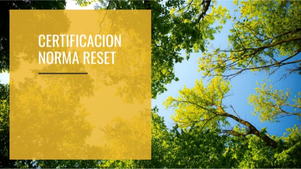 Conceptos basicos Certificación RESET | Genially