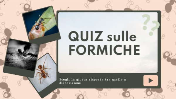 QUIZ sulle FORMICHE | Genially