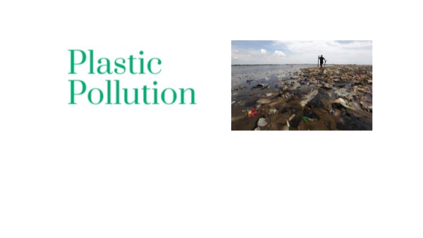 Plastic Pollution | Genially