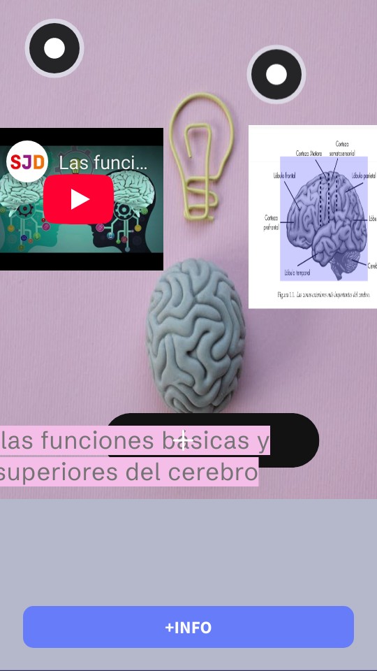 las funciones básicas y superiores del cerebro | Genially