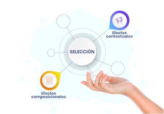 Esquema 1 Efectos contextuales y composicionales de la selección (2019 | Genially