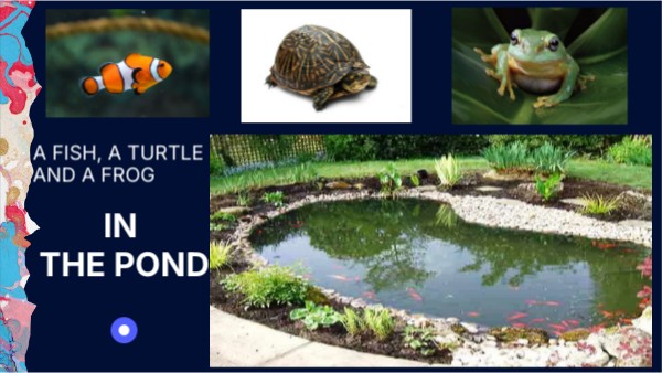 Animals unit 5 | Genially