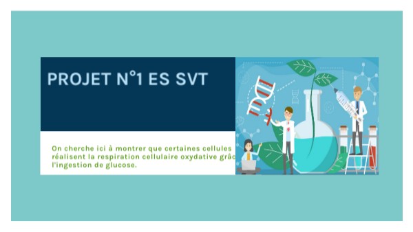 PROJET N°1 Es svt | Genially