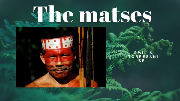 The matses | Genially