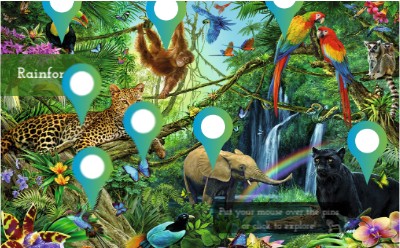 Rainforest | Genially