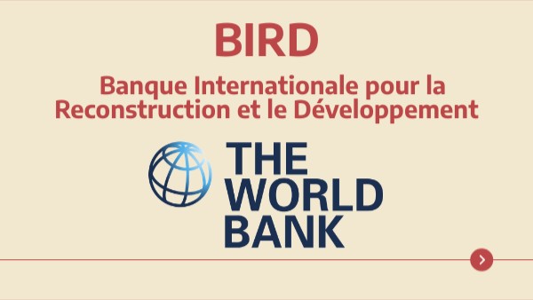 BIRD | Genially