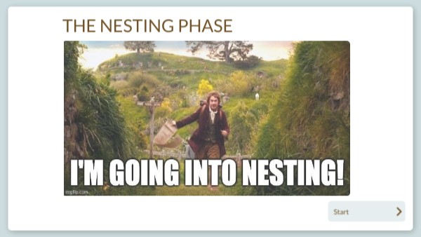 Genially_copy - Nesting Phase | Genially