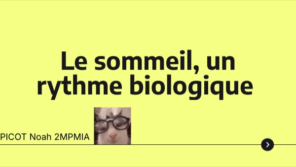 Le sommeil, un rythme biologique | Genially