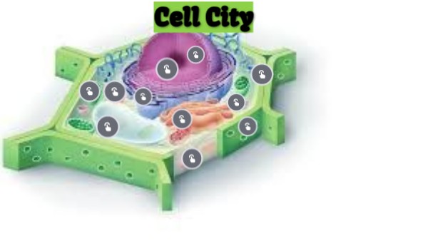 Cell City | Genially